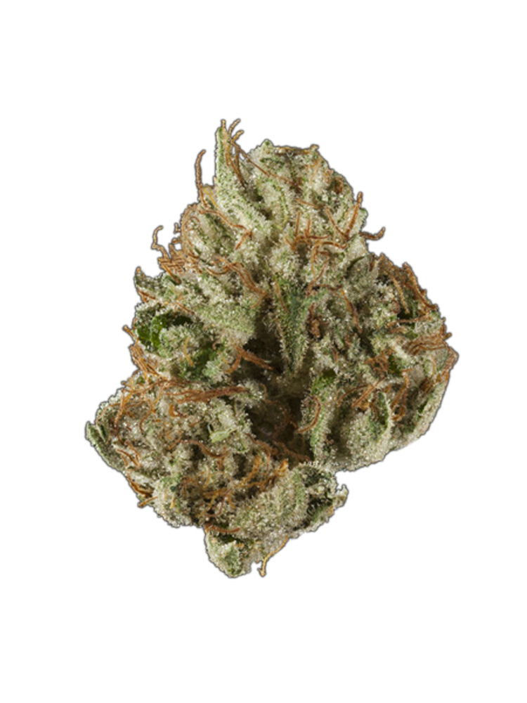 Buy Fiore Runtz Revenge - Cookies Mission Valley Dispensary Buy Fiore Runtz Revenge - Cookies Mission Valley Dispensary